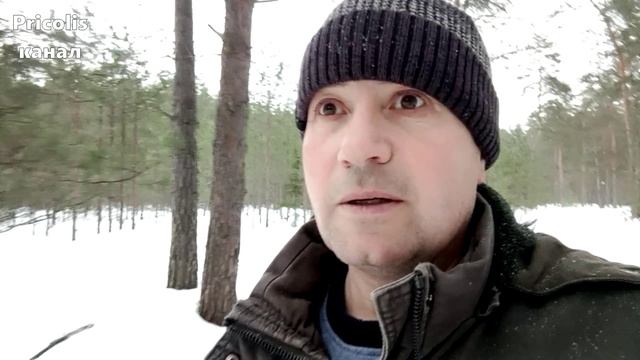 Прогулка в лесу, Загородный парк города Владимира зима 2026