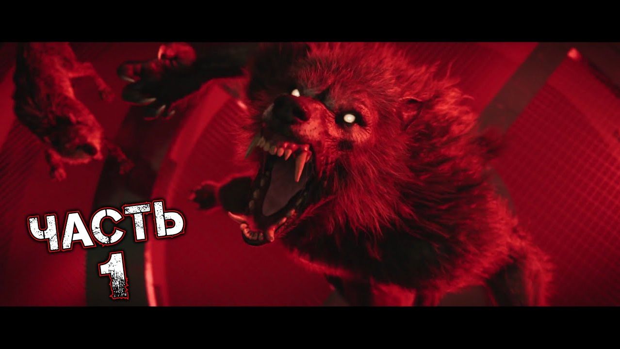 WEREWOLF THE APOCALYPSE EARTHBLOOD #1 - Окрестности Таркерс-Милл [Людмила. Родко]