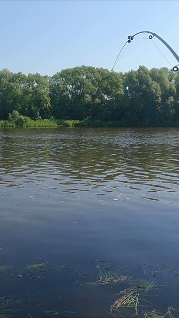 РЫБАЛКА