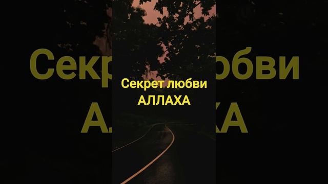 #секрет любви Аллаха#напоминаниеверующим #shortsvideos