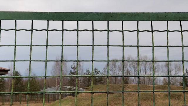 Одногорбый верблюд и немного чаек