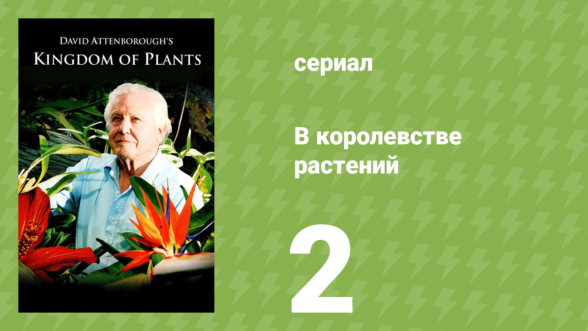 В королевстве растений 2 серия (документальный сериал, 2012)