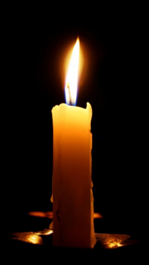 Став "INTO IN FIRE" автор Insolate