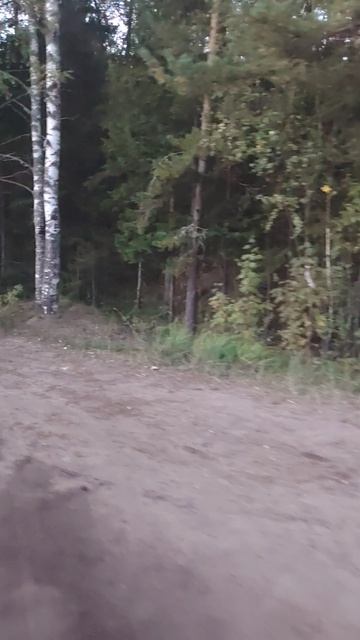 Дорога в Деревню ©20250907