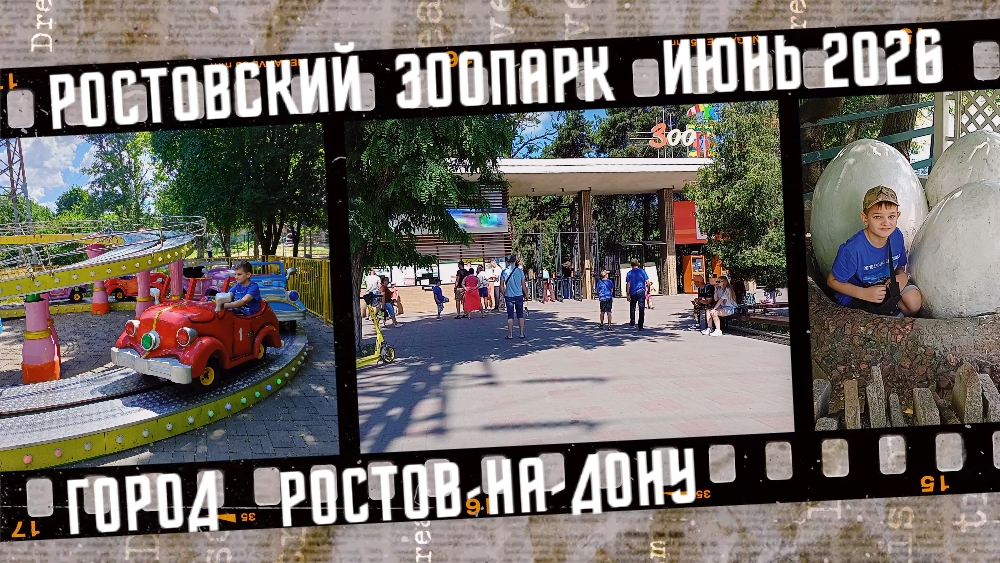 Ростовский зоопарк, город Ростов-на-Дону. Июнь 2026 года.