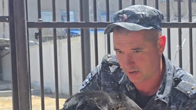 Кинолог рассказал о том, как воспитывает овчарку )))
