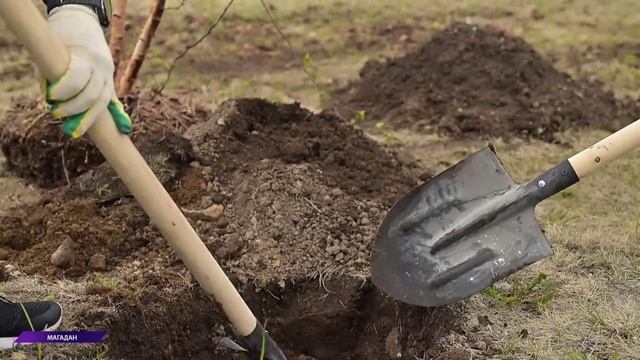 «Сад памяти» вновь объединил магаданцев разных поколений в честь героев, отдавших жизнь за Родину
