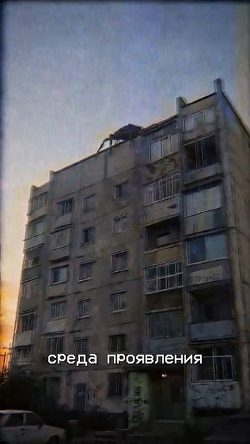 3. ОКО Она притворяется бабушкой Предупреждение