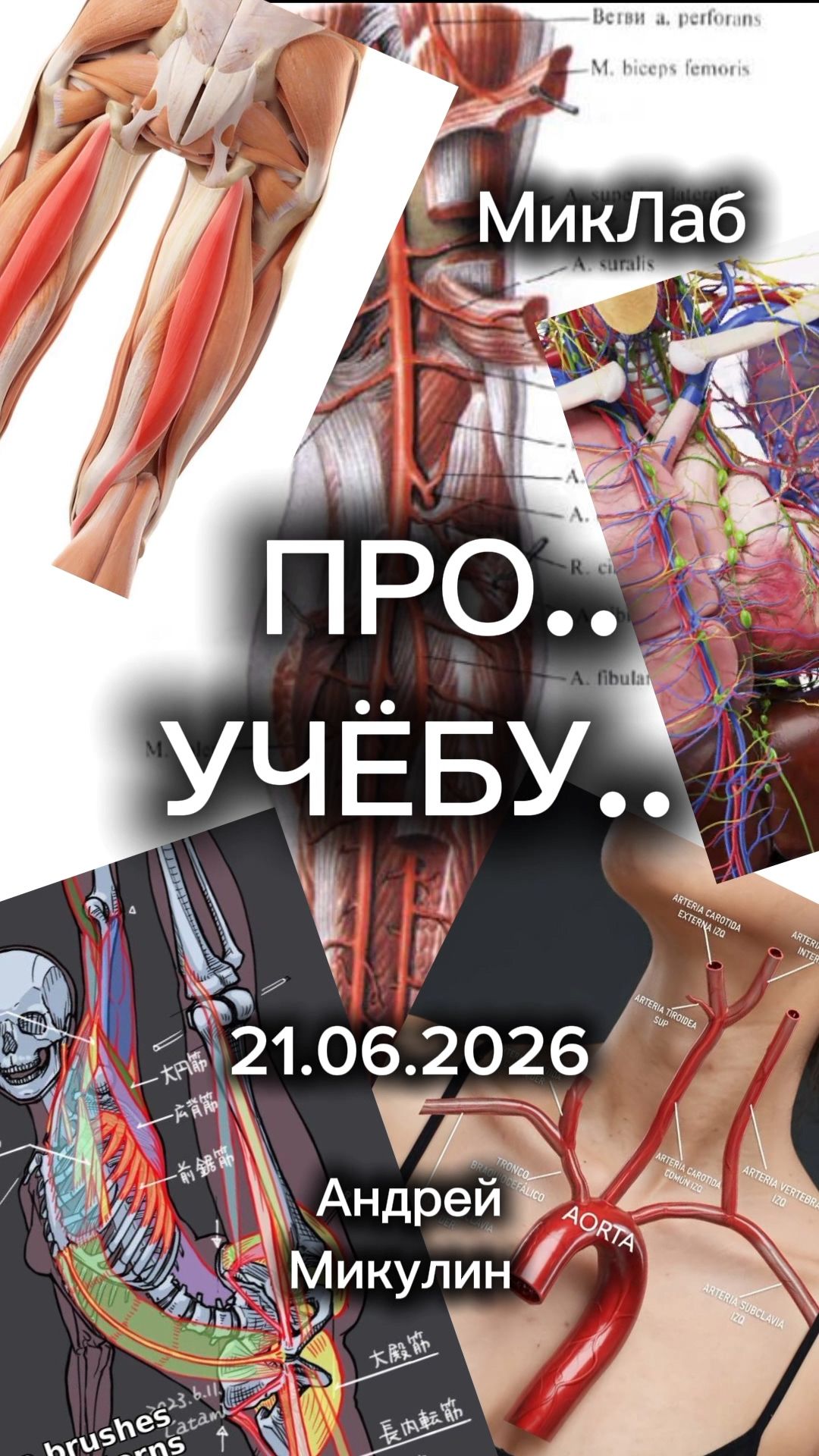 Про.. УЧЁБУ! Академия Массажа Микулина А.Л. 21.06.2026 МикЛаб