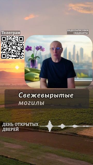 День открытых дверей. Аудиокниги Сиддханты (Вячеслава Чернина)mp4
