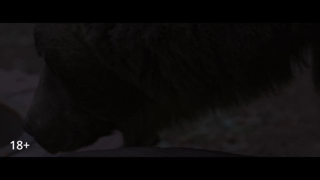 Ночь с гризли - 2026 (06)