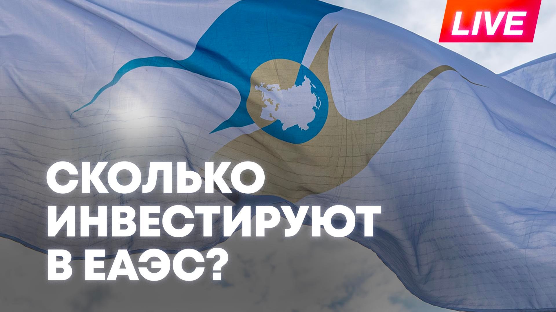 Новые инвестпроекты в ЕАЭС: итоги Ташкентского международного инвестиционного форума