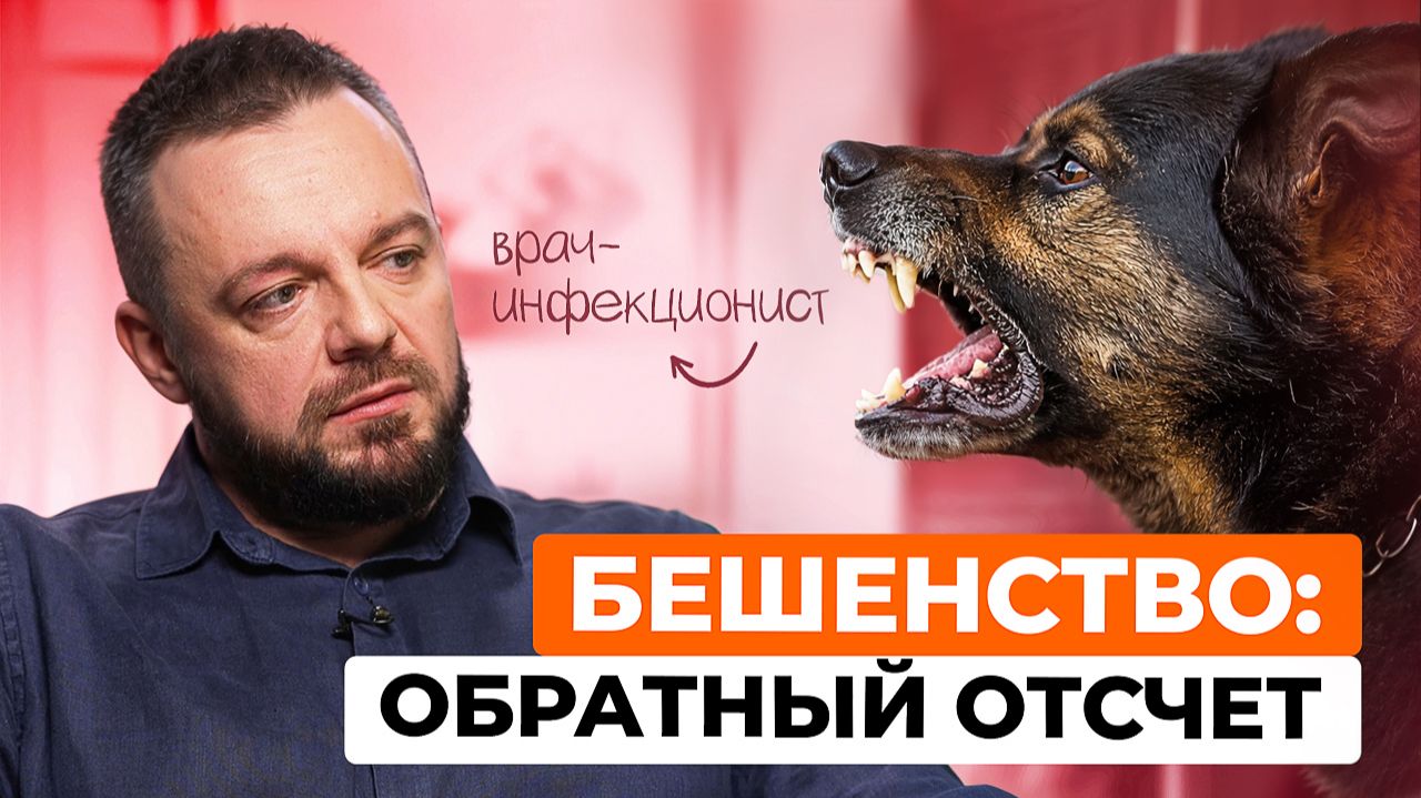 Бешенство: сколько времени есть на спасение после укуса?
