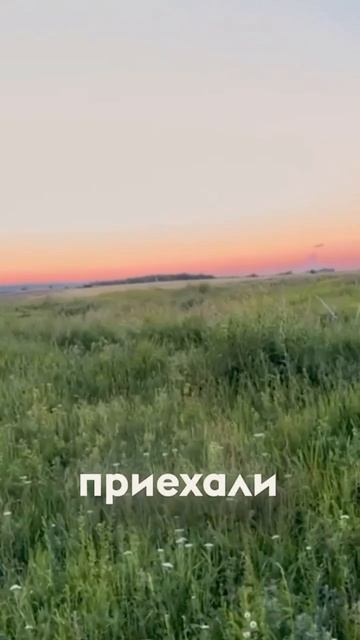 Фильмы об охоте.