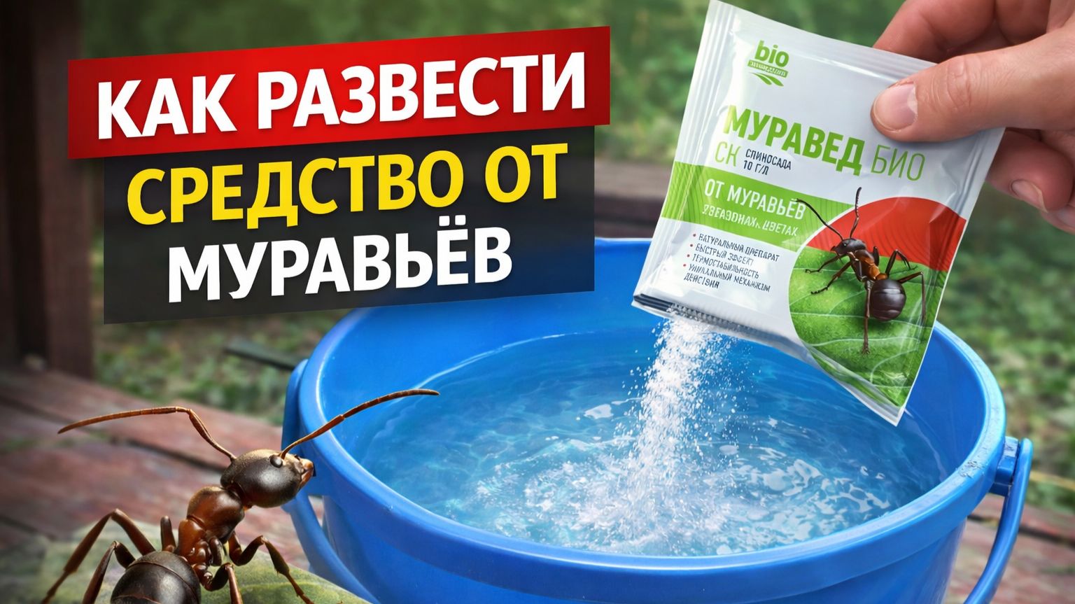 сад и дача