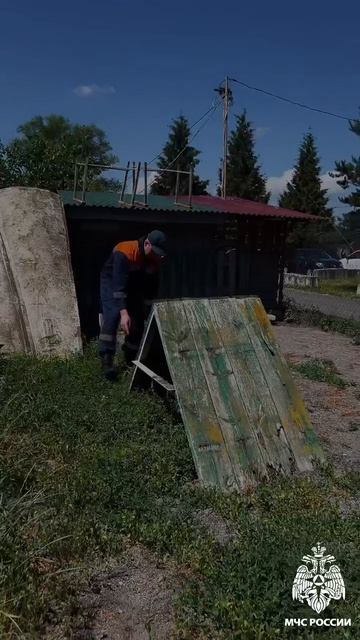Ролики