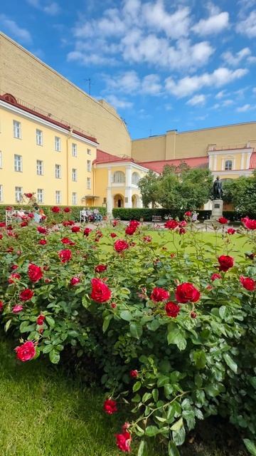 Лето в Питере ☀️