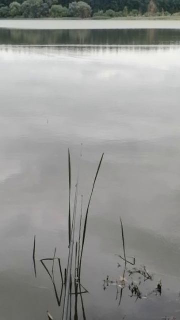 РЫБАЛКА
