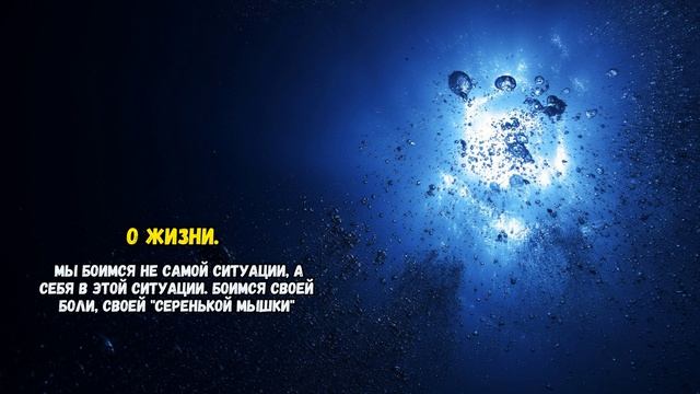 О жизни.