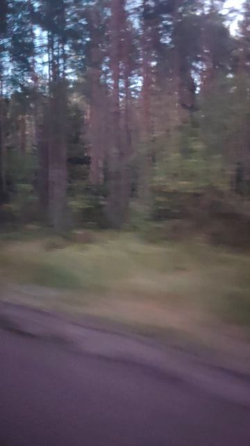 Village Trip ©20250907