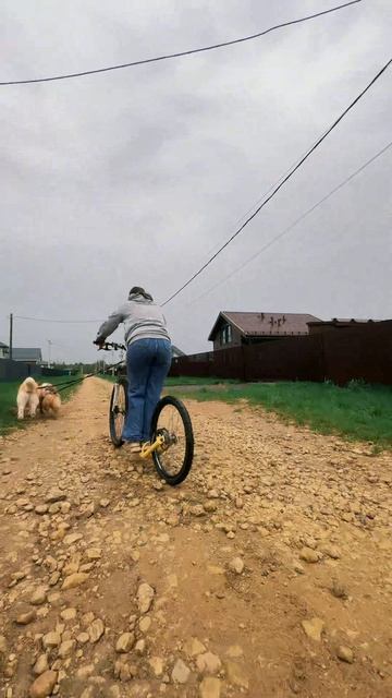 🙌Айтишники в… деревне