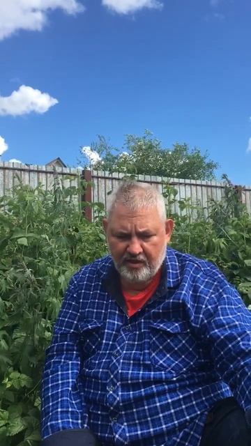 Ритуал, чтобы мужчина живой вернулся с войны