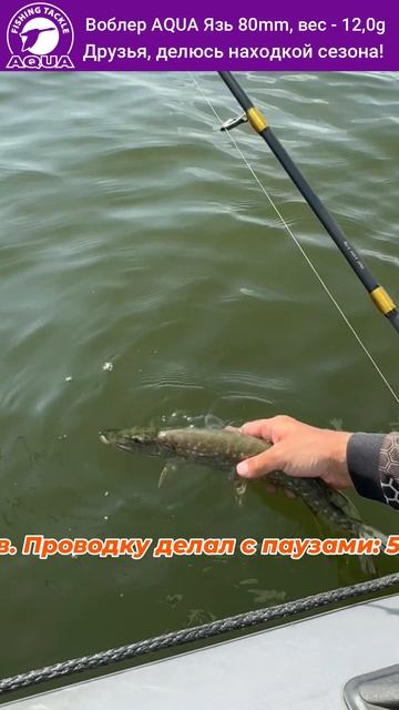 Ловля щуки и окуня на воблер AQUA Язь | Рыбалка на спиннинг