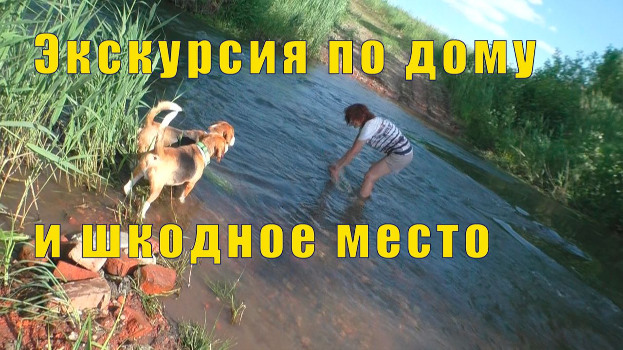 ЭКСКУРСИЯ ПО ДОМУ/ ШКОДНОЕ МЕСТО / 08 июня 2026