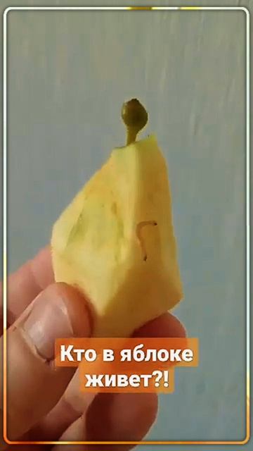 Съел яблоко, а там он....