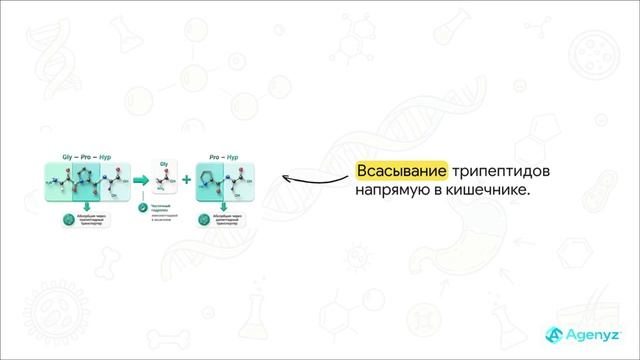 Что делает коллаген по-настоящему эффективным.