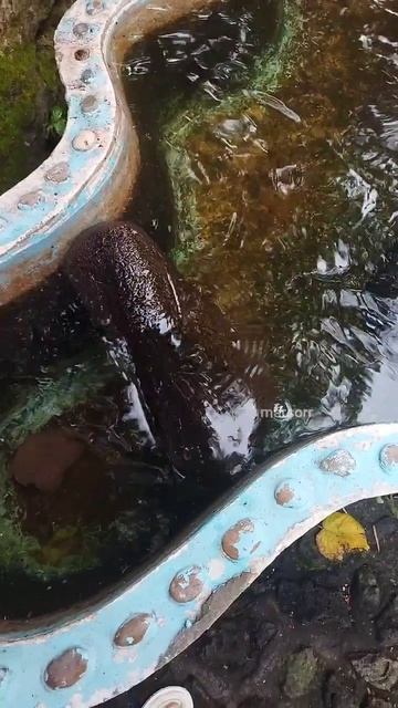 бурирам. просто плавающие камни ч.4 версия 2 บุรีรัมย์ buriram หินลอยน้ำ floating stones