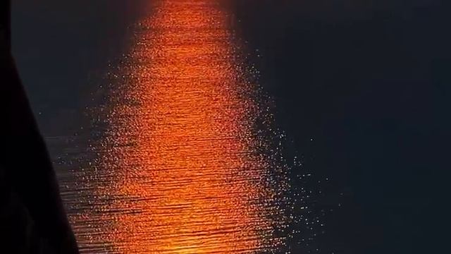 Экзотика Атлантик. Вид с 6 этажа