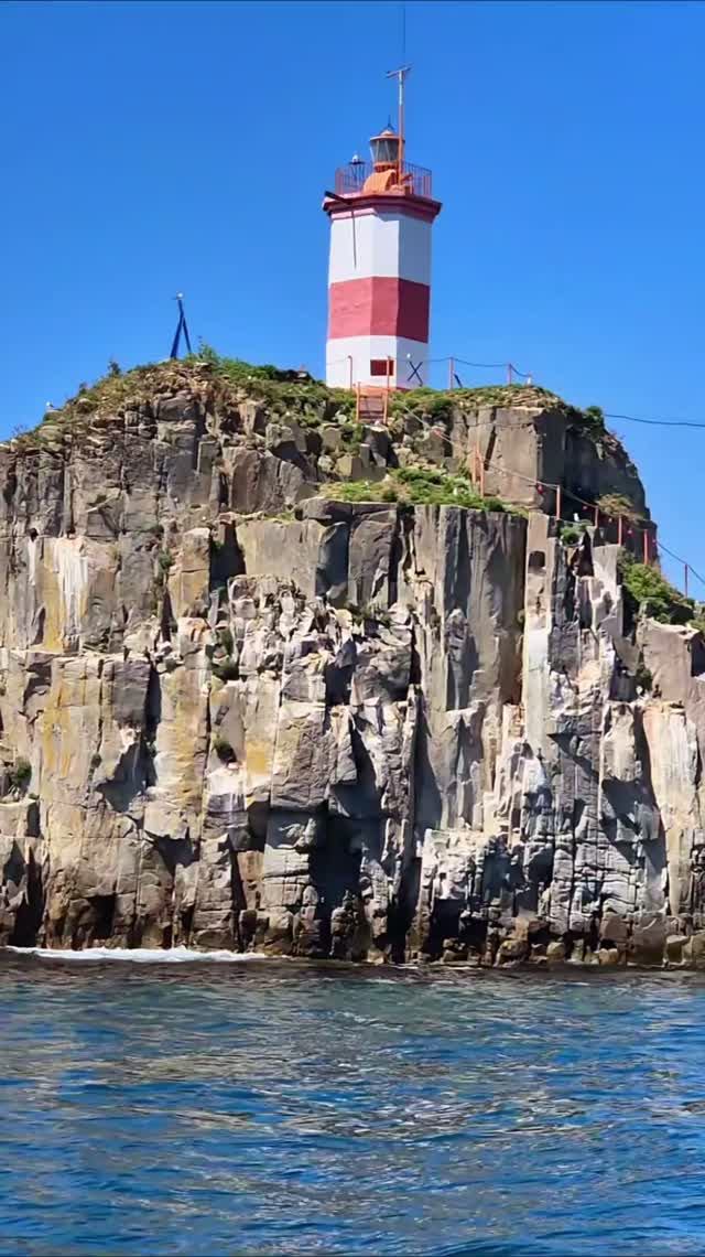 Морская прогулка по островам на катере Прогулка на катере к тюленям ларга
