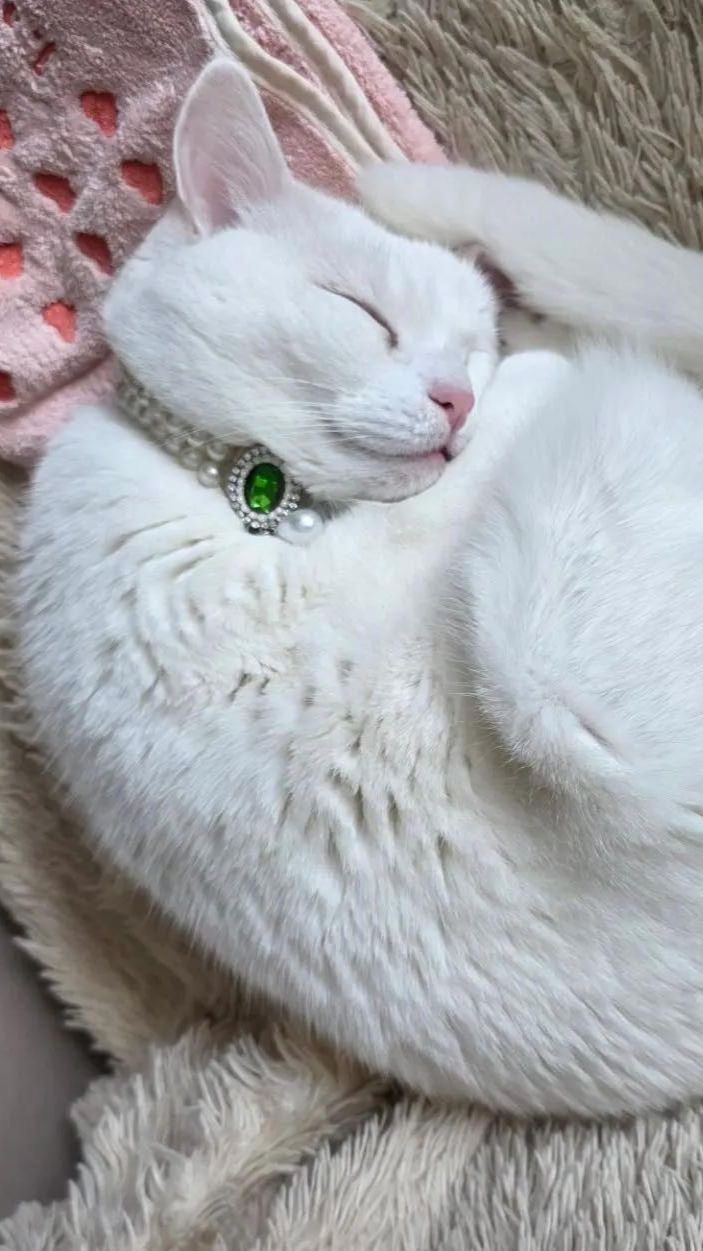 Милкины куськи с мамкой