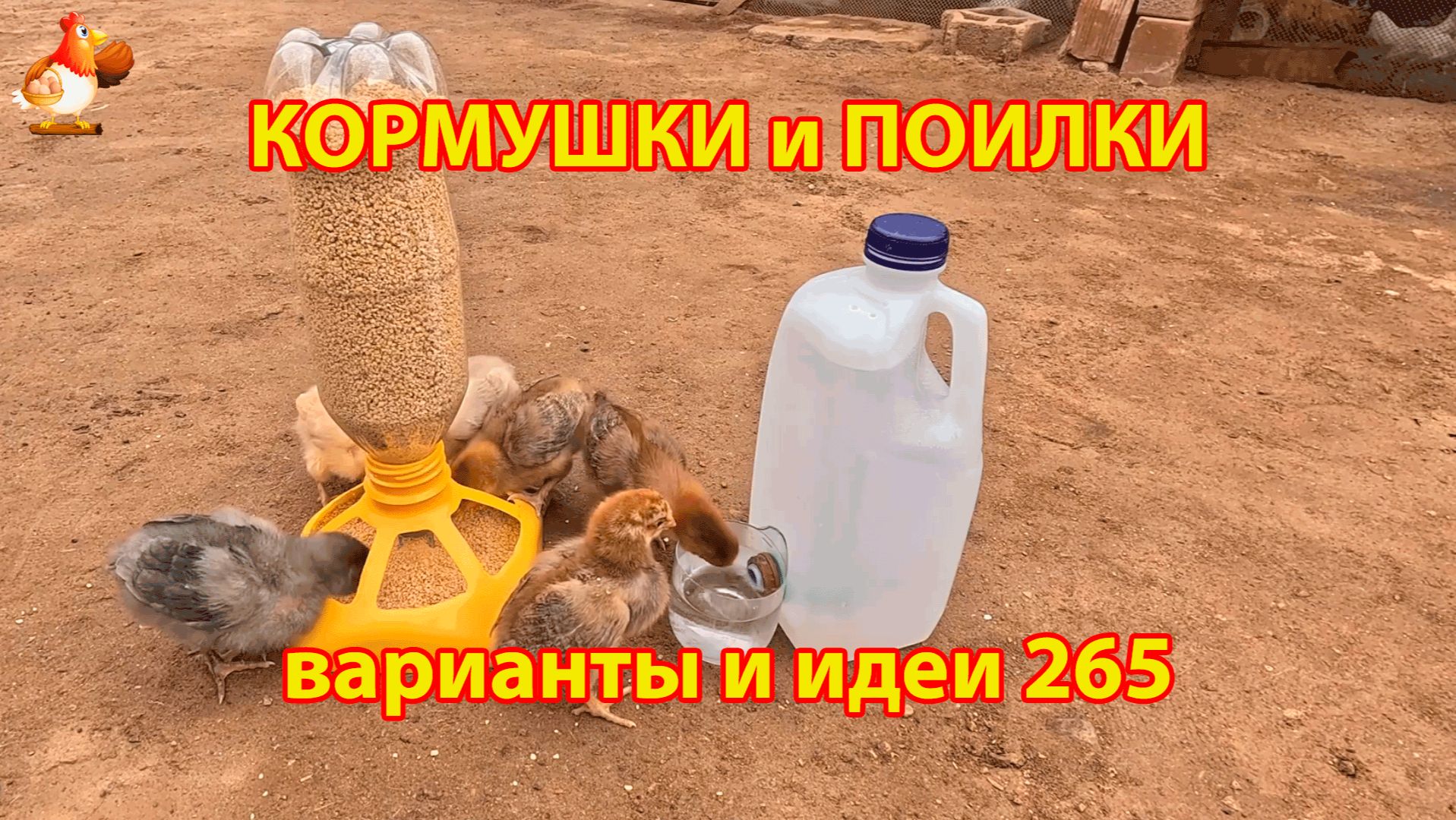 Кормушки и поилки для кур своими руками (265) 🪚✂️ Пошаговая инструкция как сделать 🐔 🐓❣️