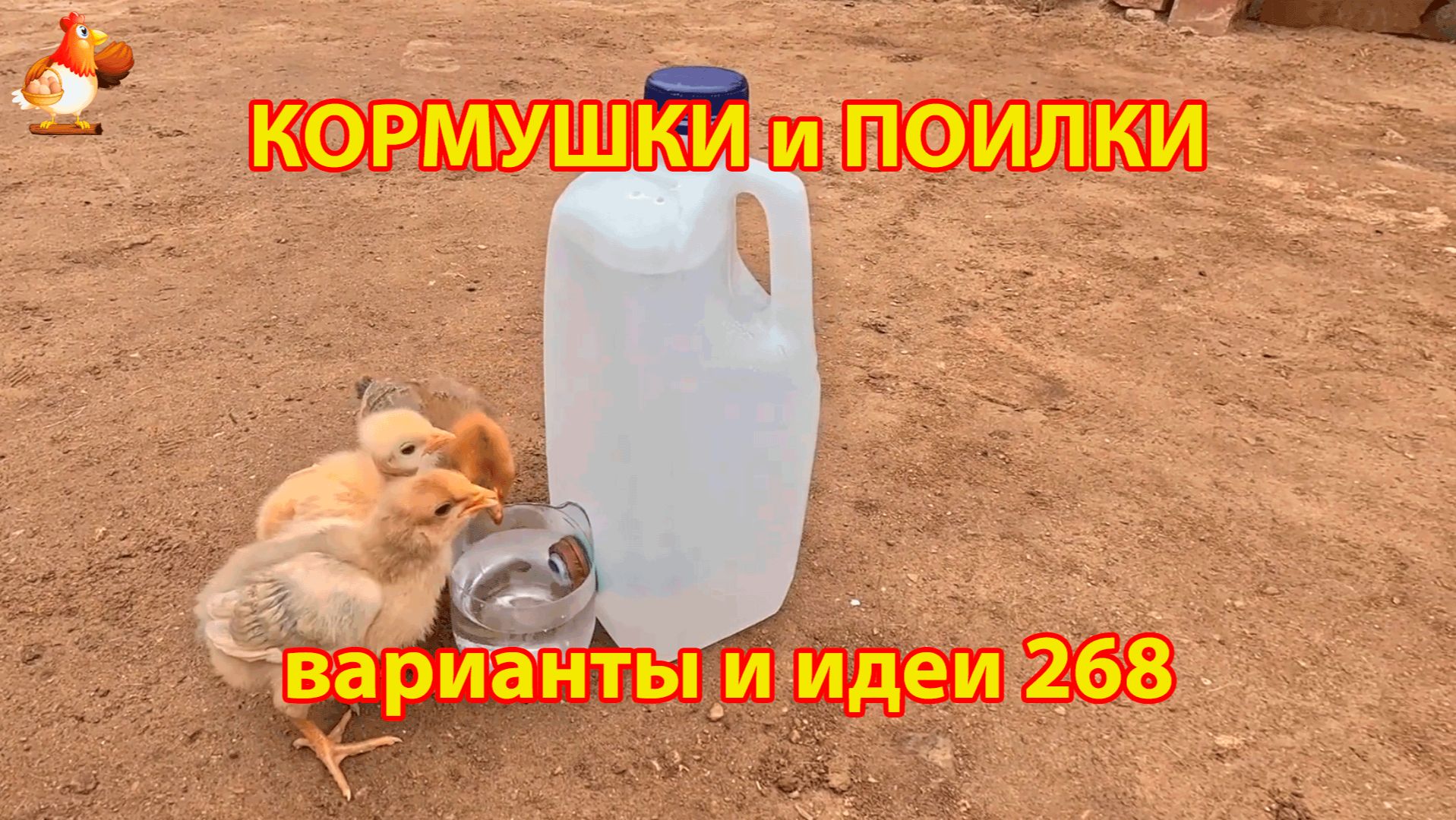 Кормушки и поилки для кур своими руками (268) 🪚✂️ Пошаговая инструкция как сделать 🐔 🐓❣️