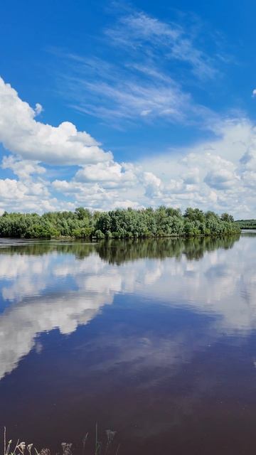 Красота Сибири: излучина реки Тобол