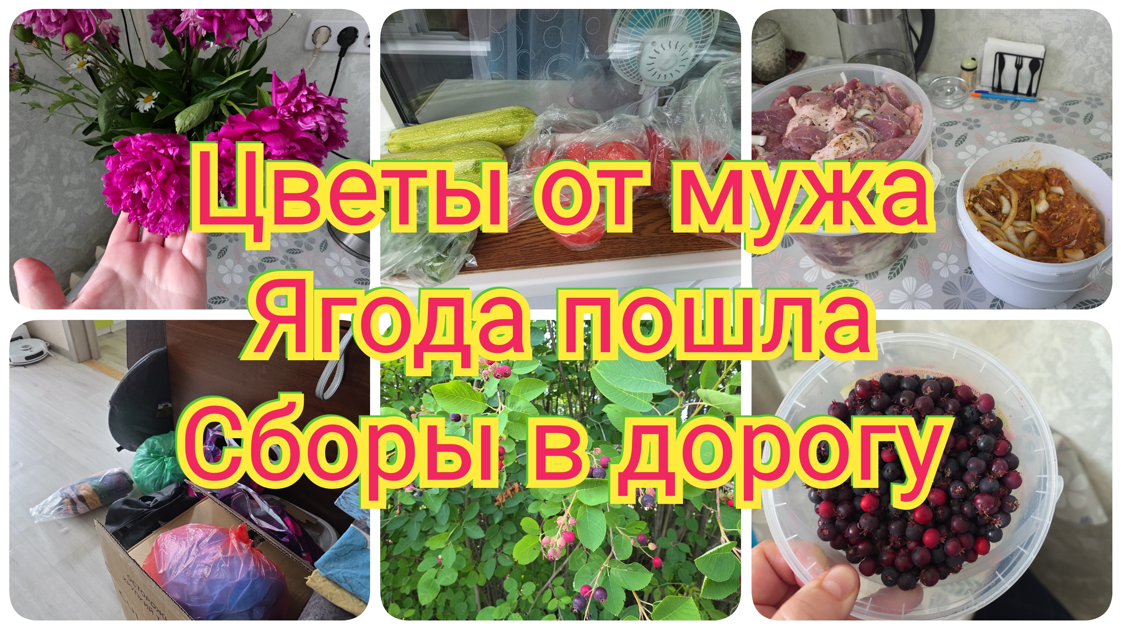 Муж ДАРИТ цветы! Наши СБОРЫ в запланированную ПОЕЗДКУ
