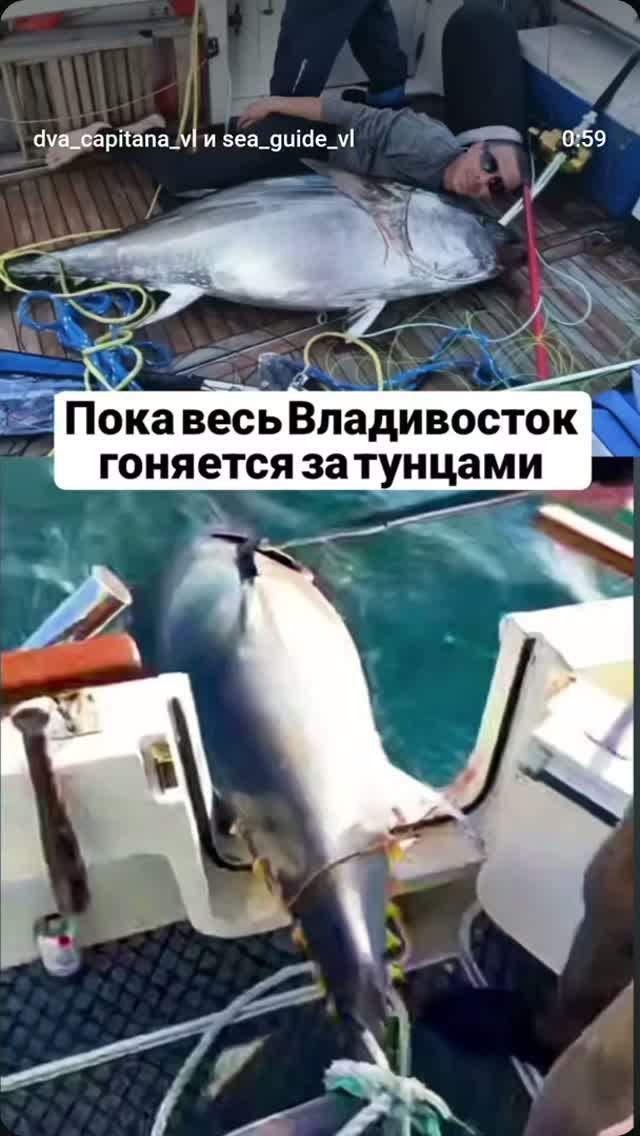 Морская рыбалка во Владивостоке Ловим крабов во Владивостоке на удочку Камбала Минтай Скумбрия