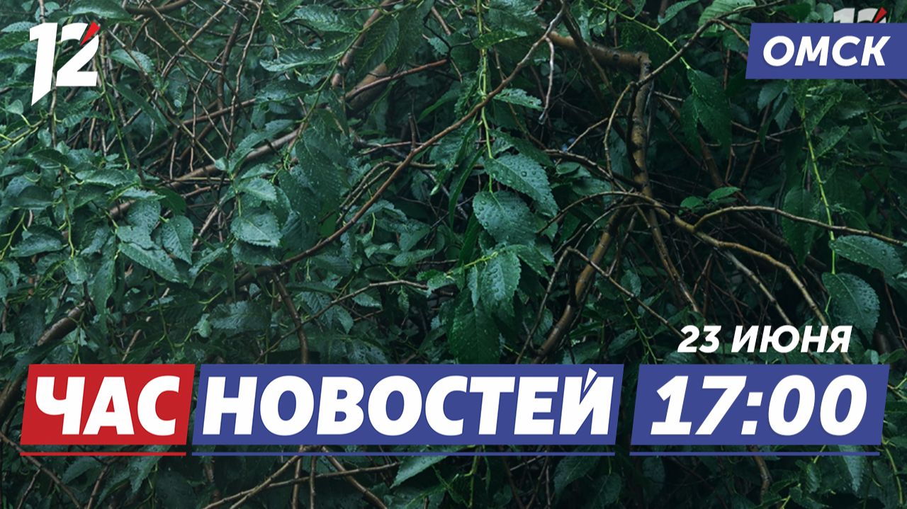 Жару сменят грозы / Топливные ограничения / Креативный бизнес. Новости Омска