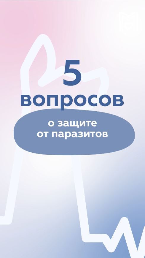5 ВОПРОСОВ... о защите от паразитов