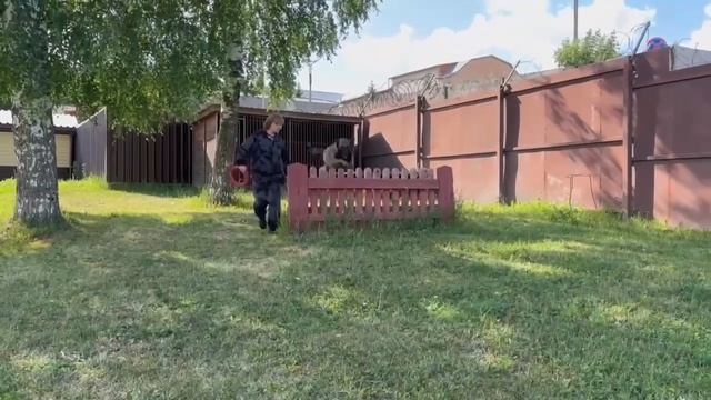 В ЦКС МВД по Республике Мордовия не нужны наручники, чтобы задержать преступника.