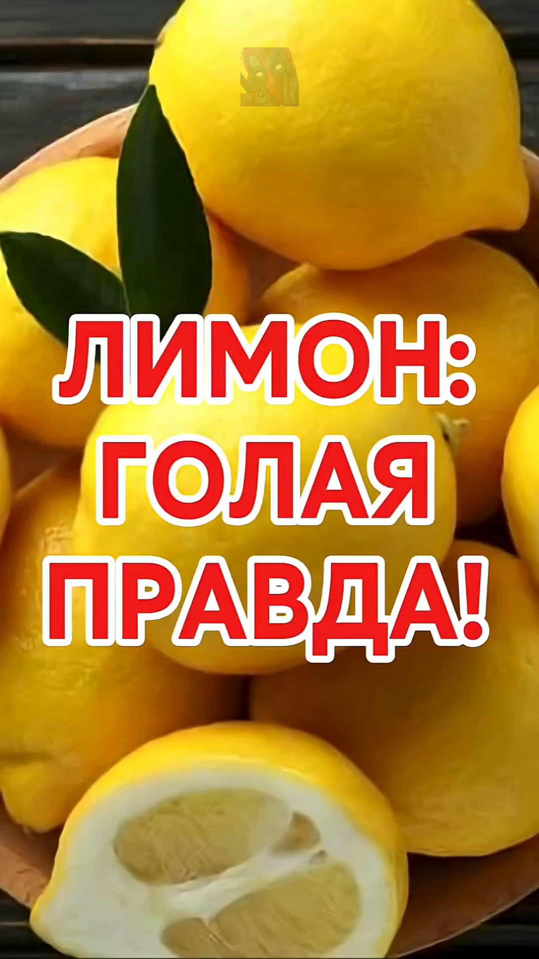 Лимон: Голая Правда!¡! 🙀🫶🤯