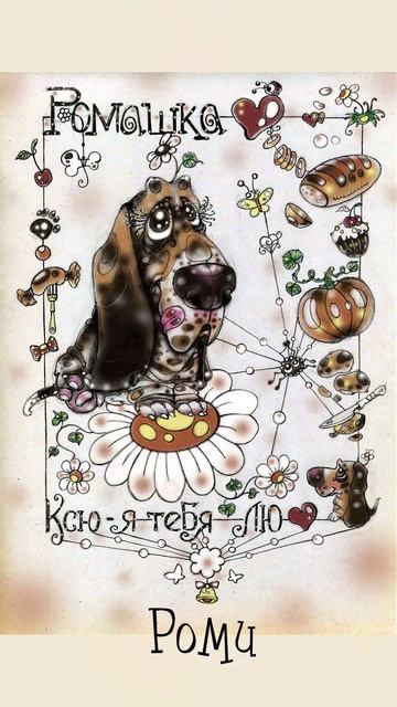 Весёлые картинки (корги, Роми, Сова)