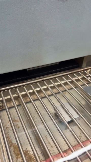 шеврон котик