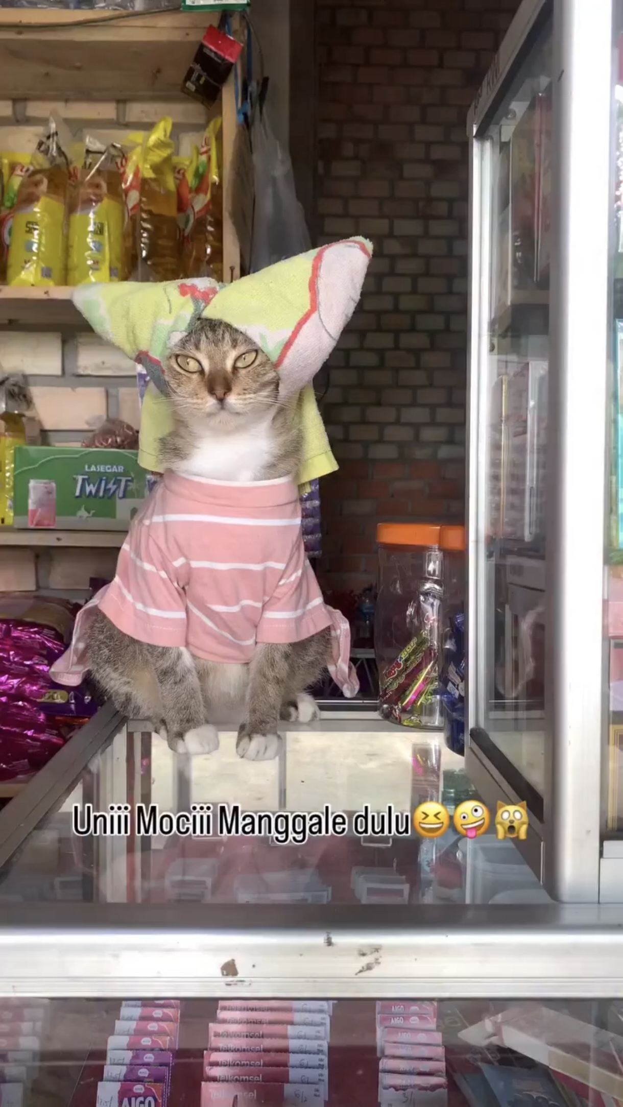 Котозаклинание на удачу 😺