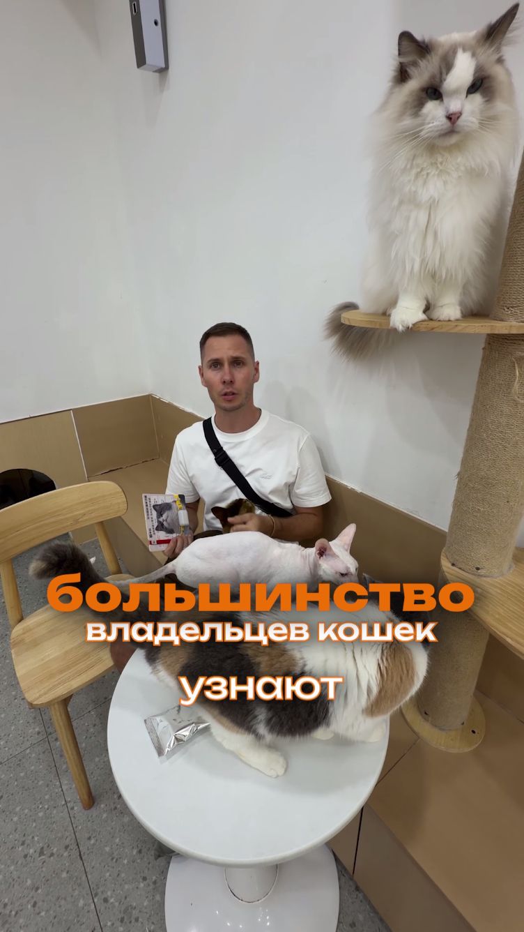 Тренды в Китае