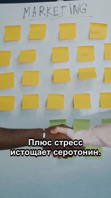 Почему после стресса хочется сладкого?