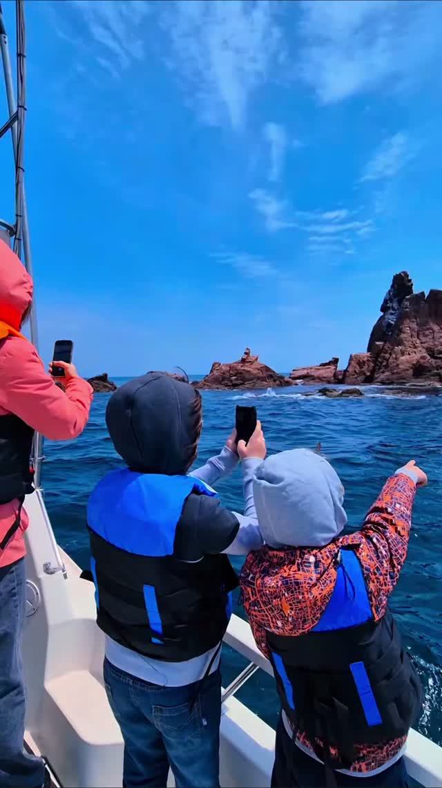 Морские котики во Владивостоке/ Тюлени Ларга/Морская прогулка к морским котикам во Владивостоке