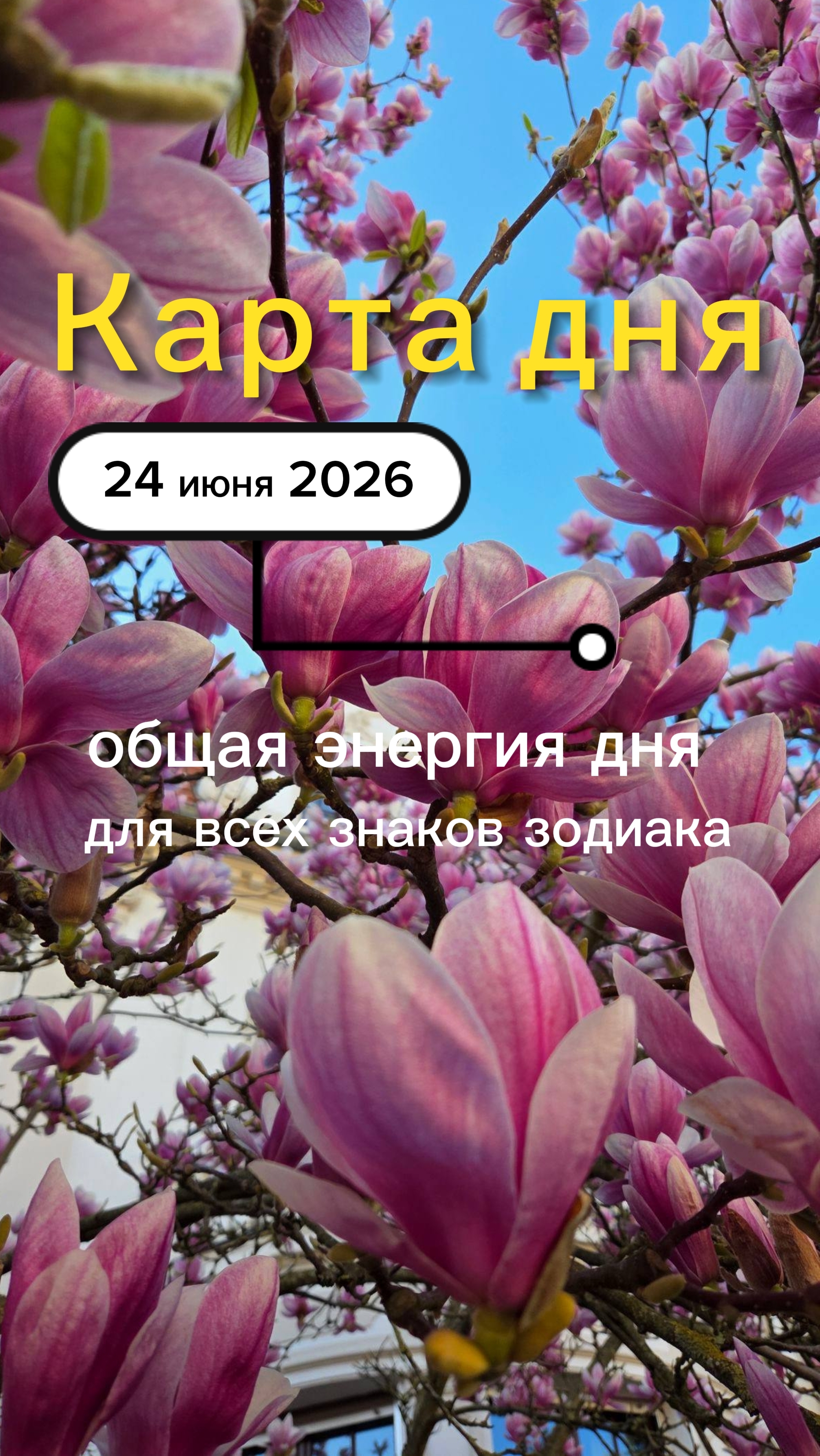 🗡"Туз мечей". Карта общего фона на 24-06-2026. Среда